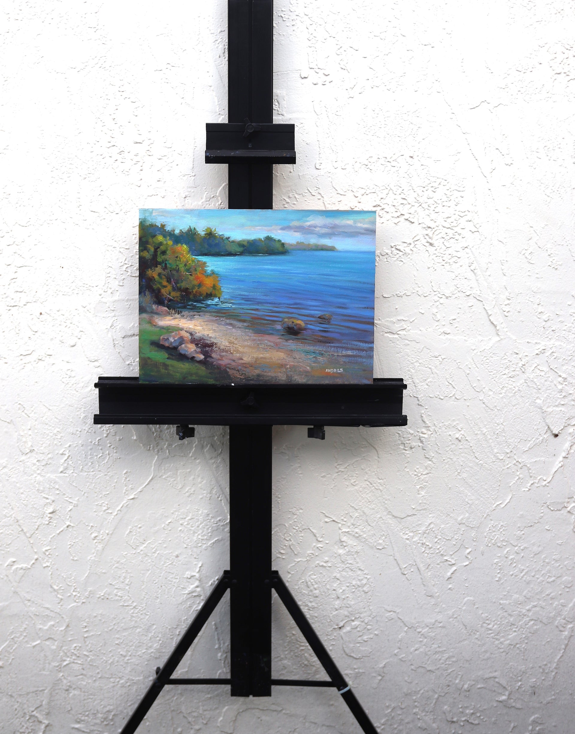 Shallow Waters by Andres Lopez - oil painting | UGallery