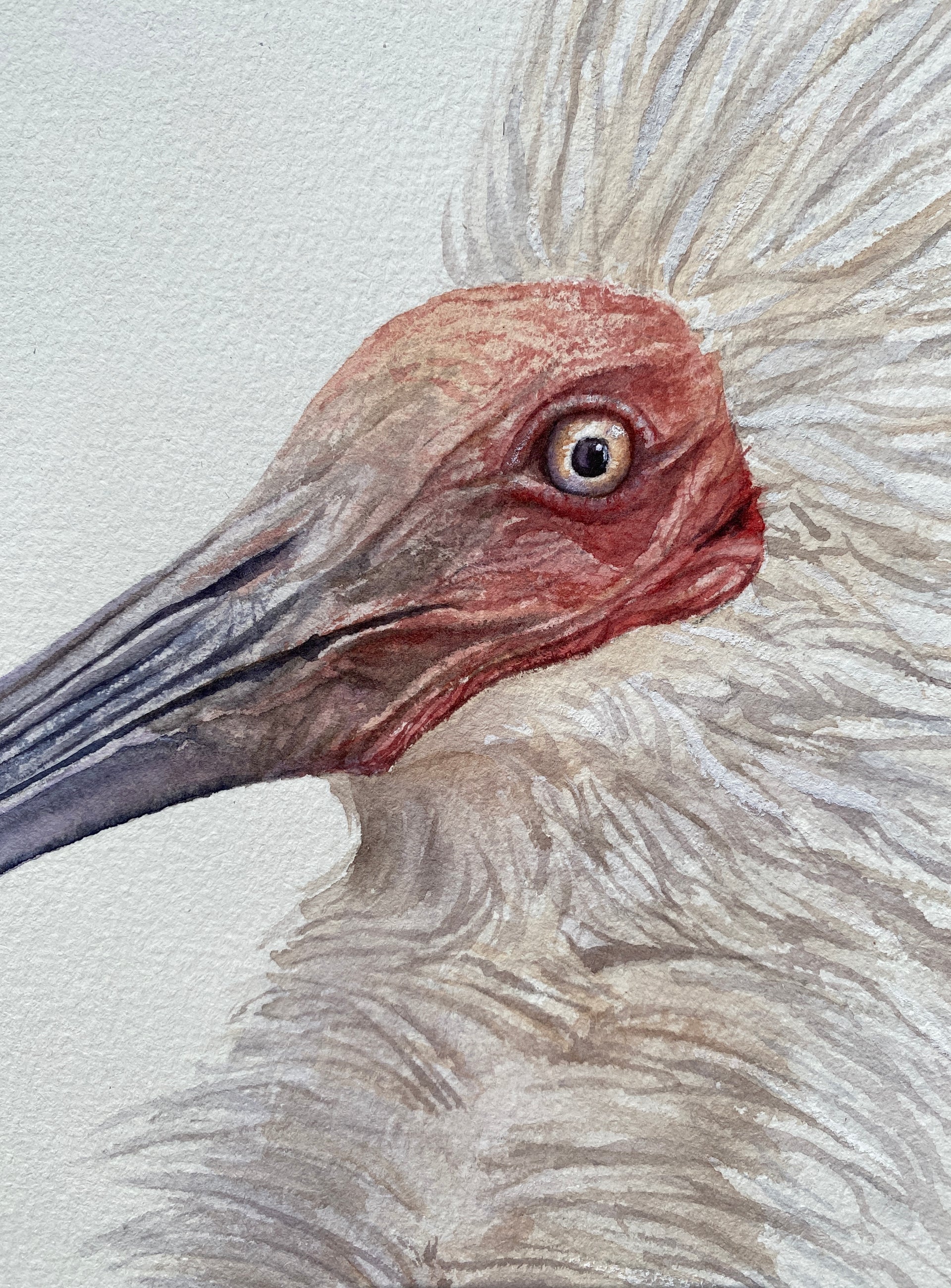 Bad Hair Day by Tetiana Savchenko - watercolor painting | UGallery