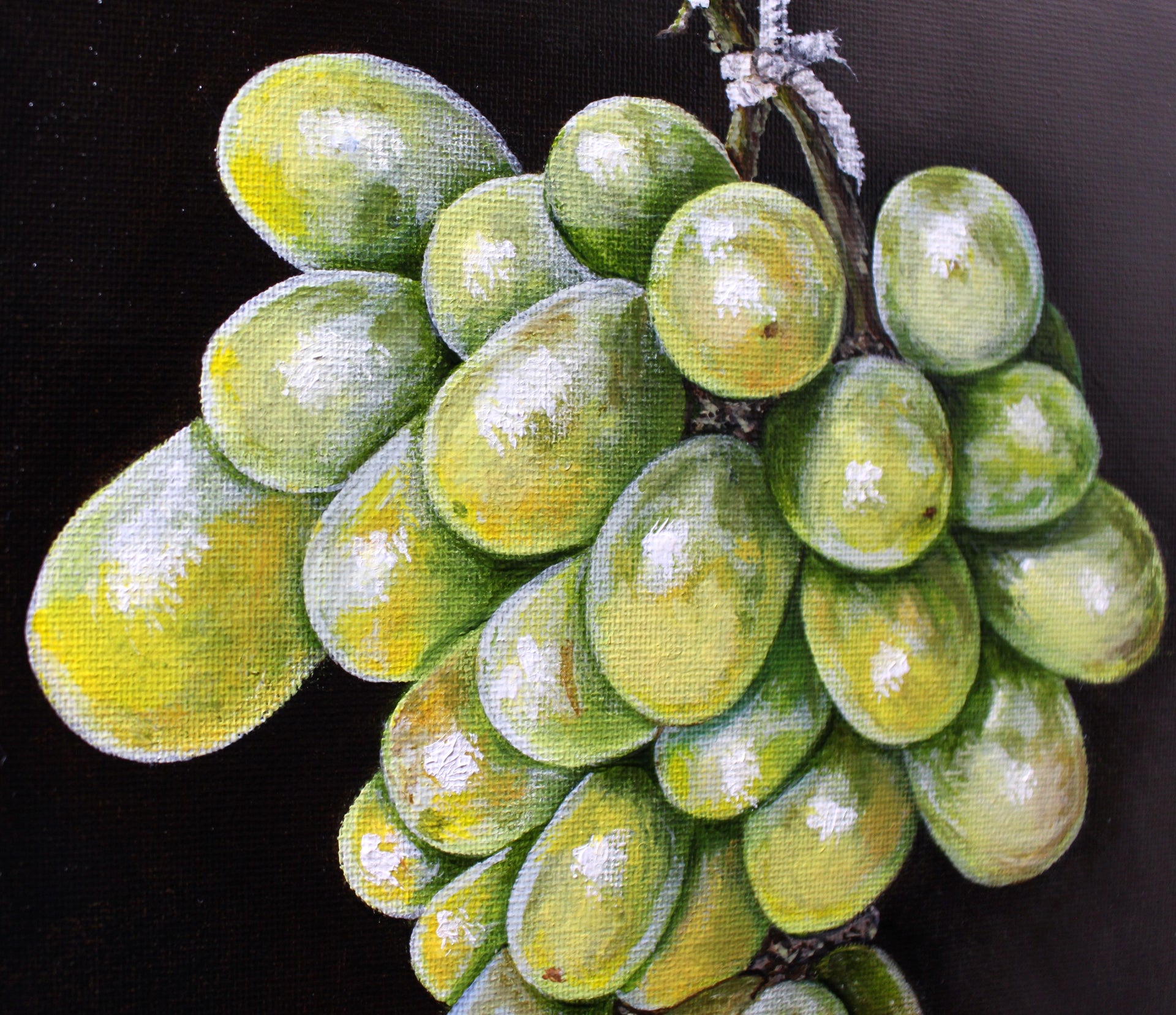 Green Grapes by Art Tatin - oil painting | UGallery