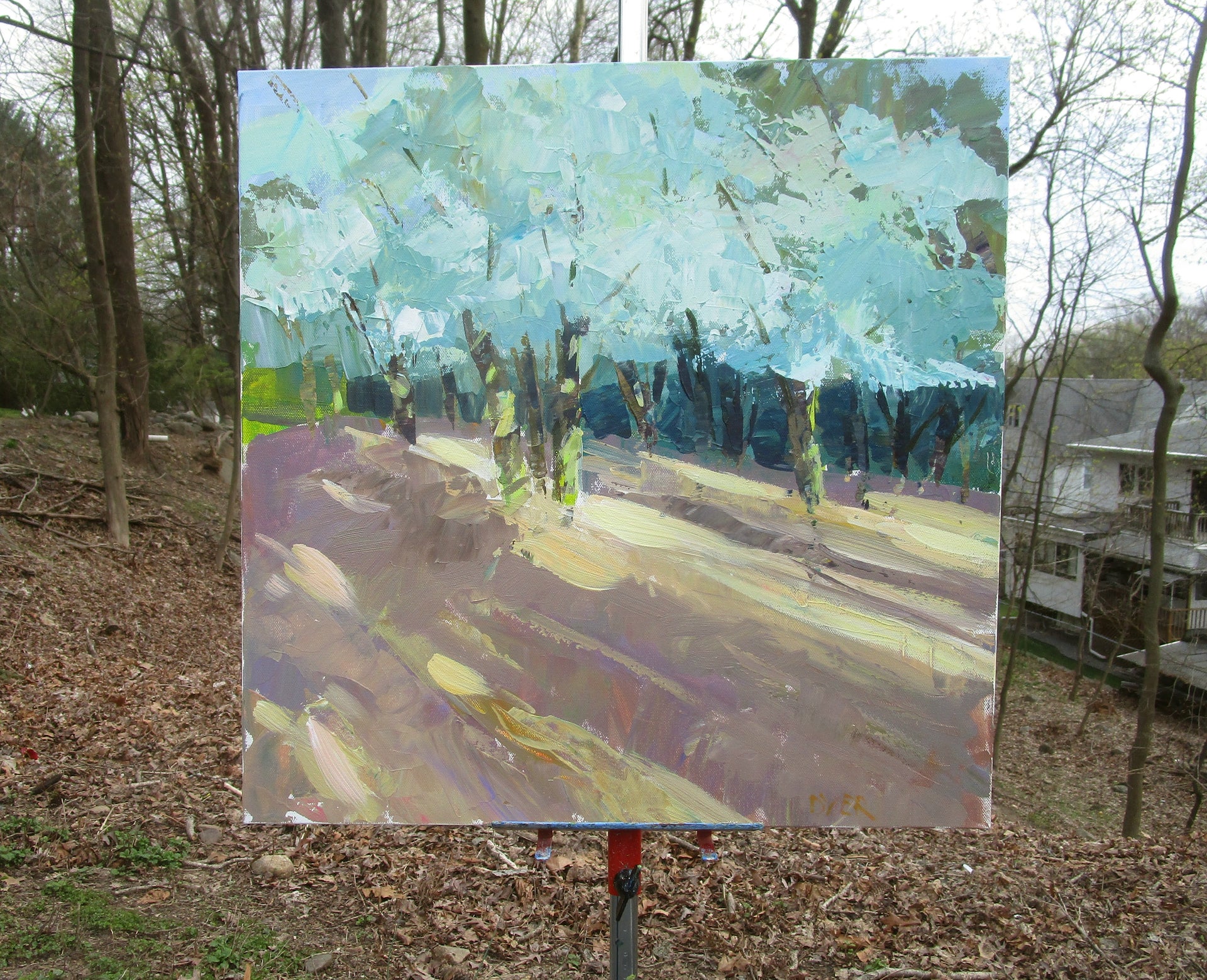 Olive Trees on the Hillside by Janet Dyer - acrylic painting | UGallery