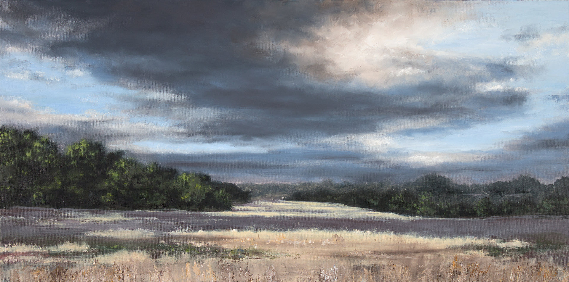 Late Afternoon Meadow by Jill Poyerd - oil painting | UGallery
