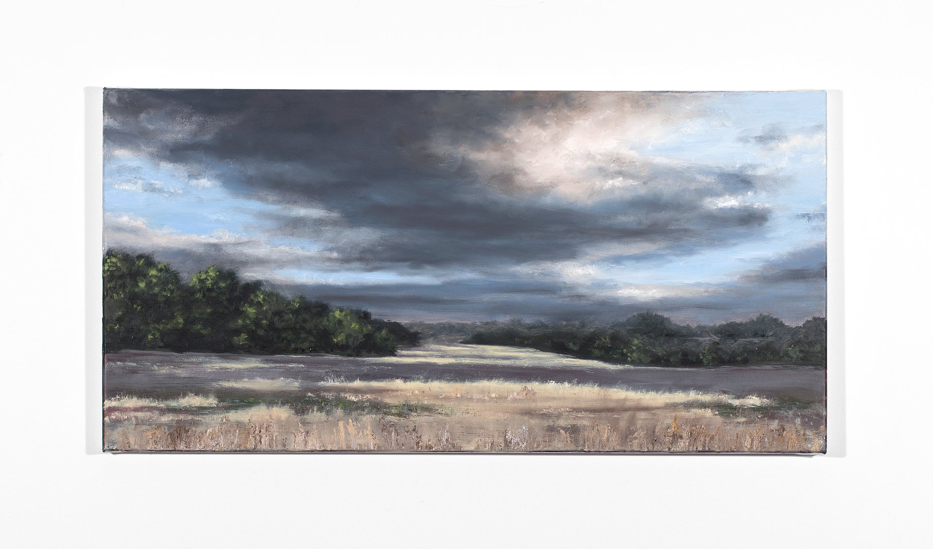 Late Afternoon Meadow by Jill Poyerd - oil painting | UGallery