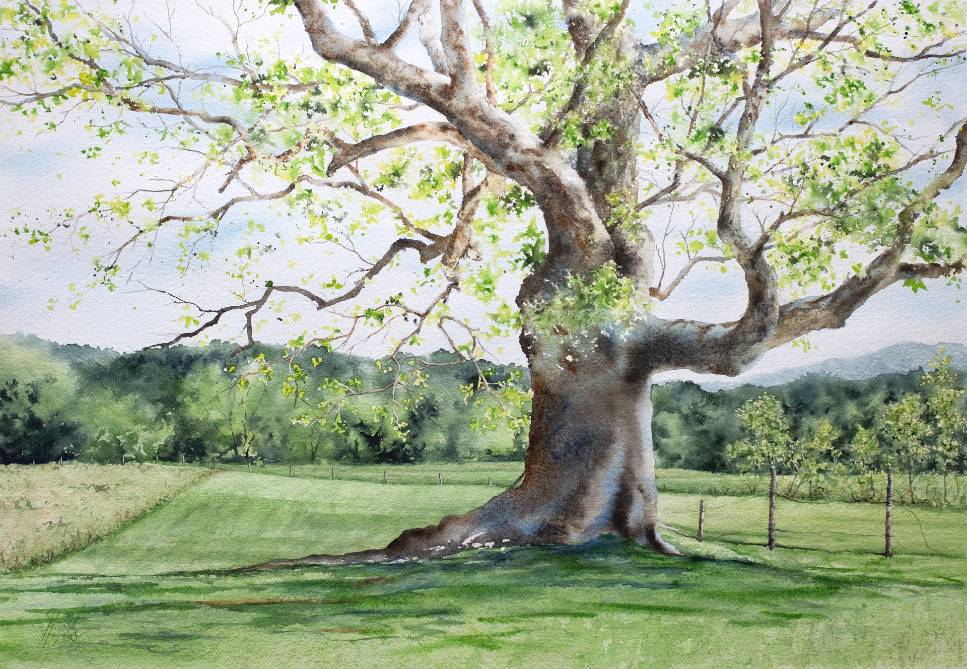 Spring Grandeur by Jill Poyerd - watercolor painting | UGallery