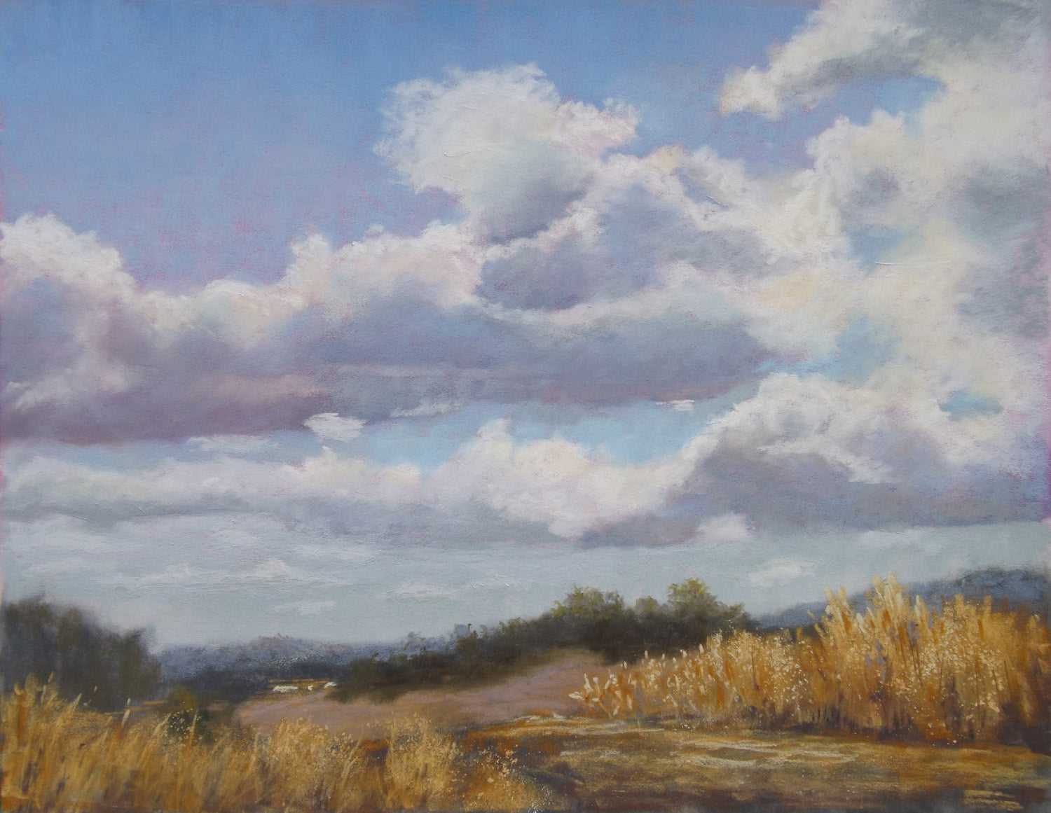 Clouds over the Valley by Patricia Prendergast - pastel artwork | UGallery