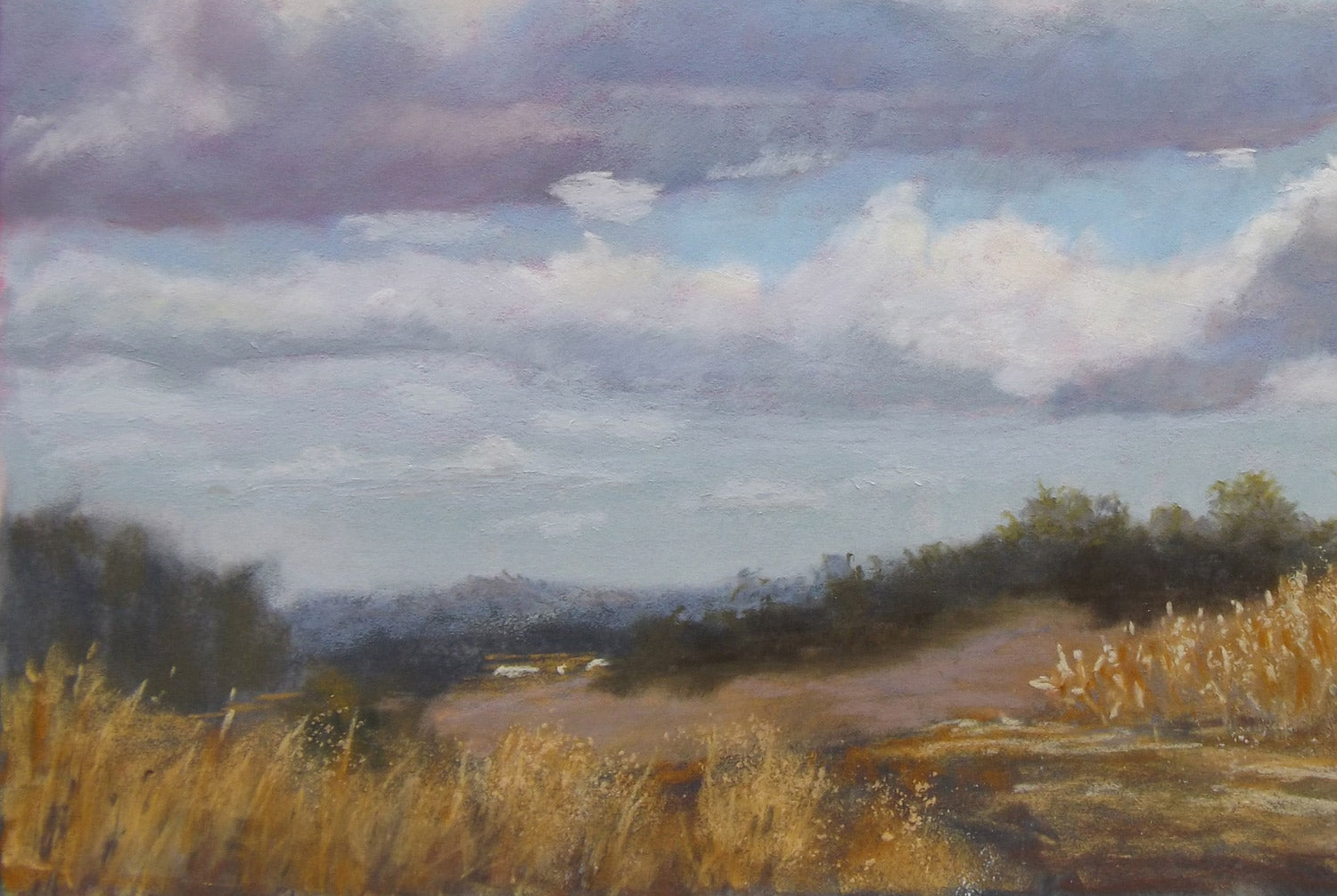 Clouds over the Valley by Patricia Prendergast - pastel artwork | UGallery