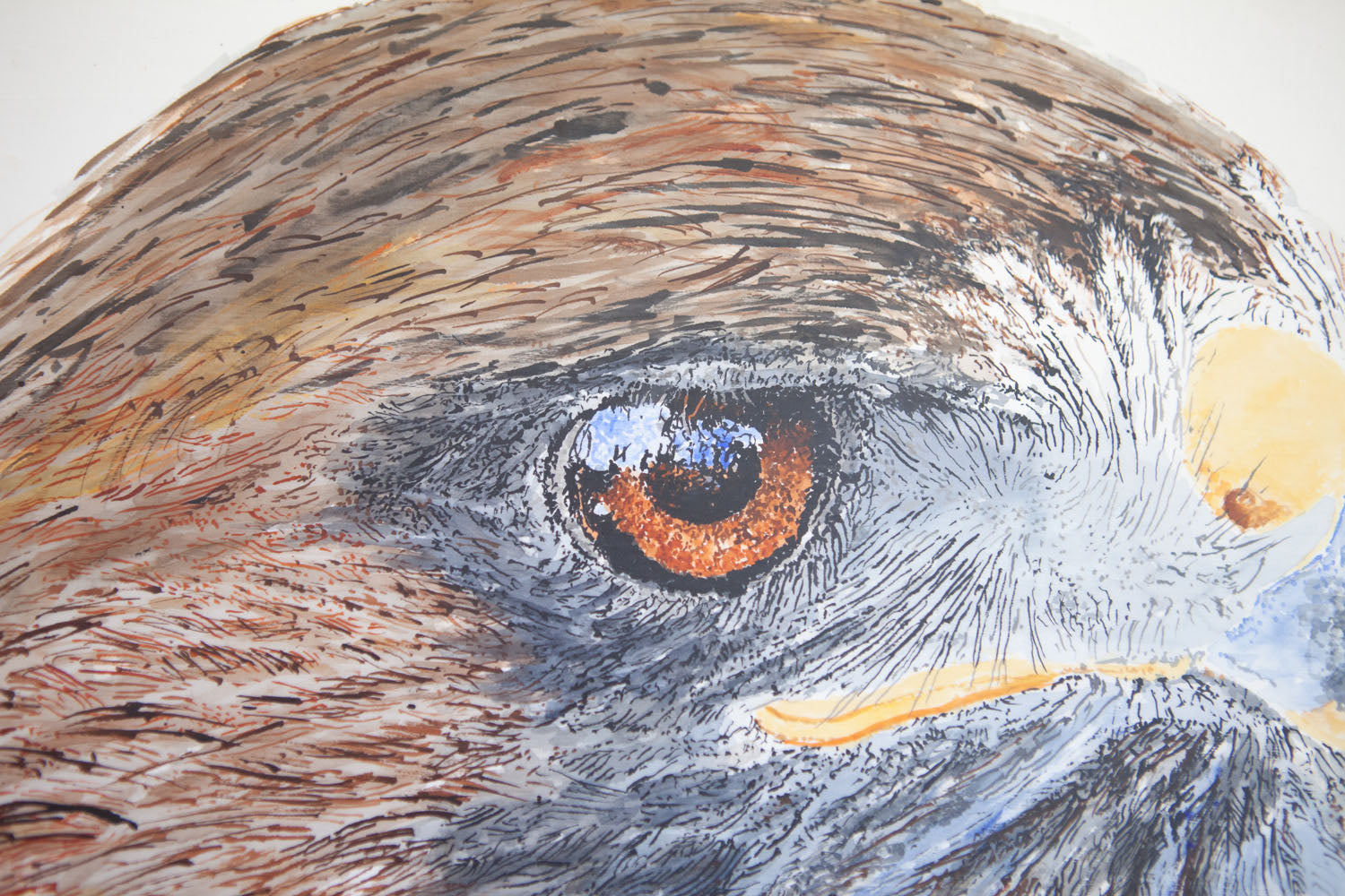 Ivan the Red-Tailed Hawk Cogitating by Emil Morhardt - acrylic painting ...
