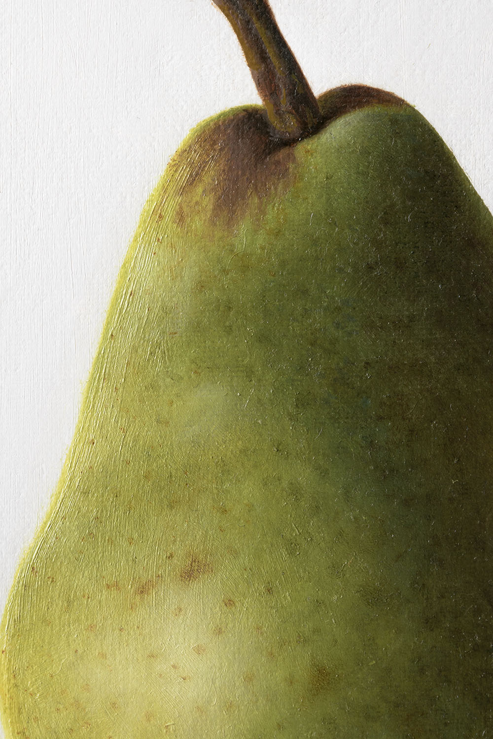 Pear with Clear Background by Daniel Caro - oil painting | UGallery