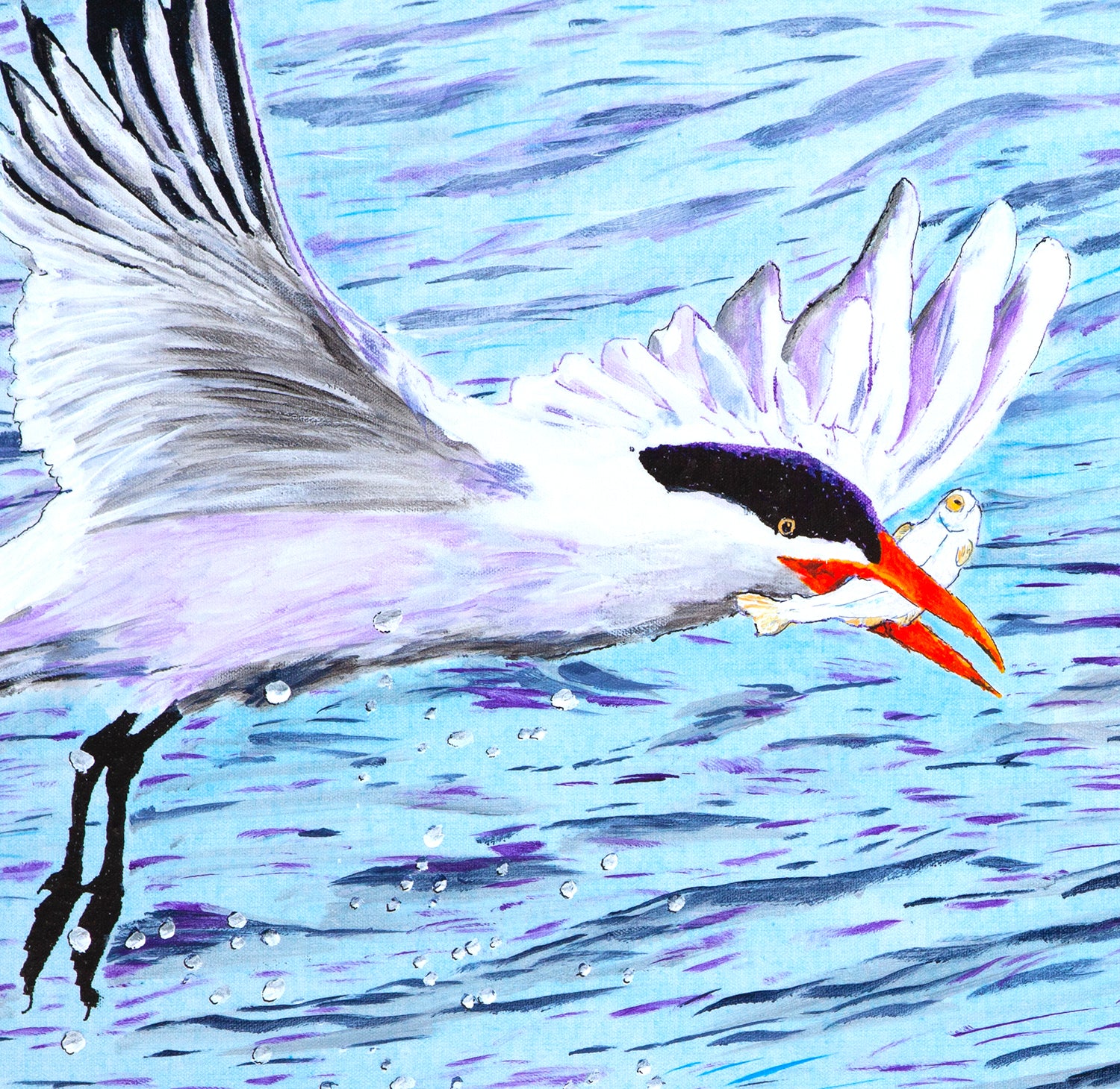 Caspian Tern Fishing by Emil Morhardt - acrylic painting | UGallery