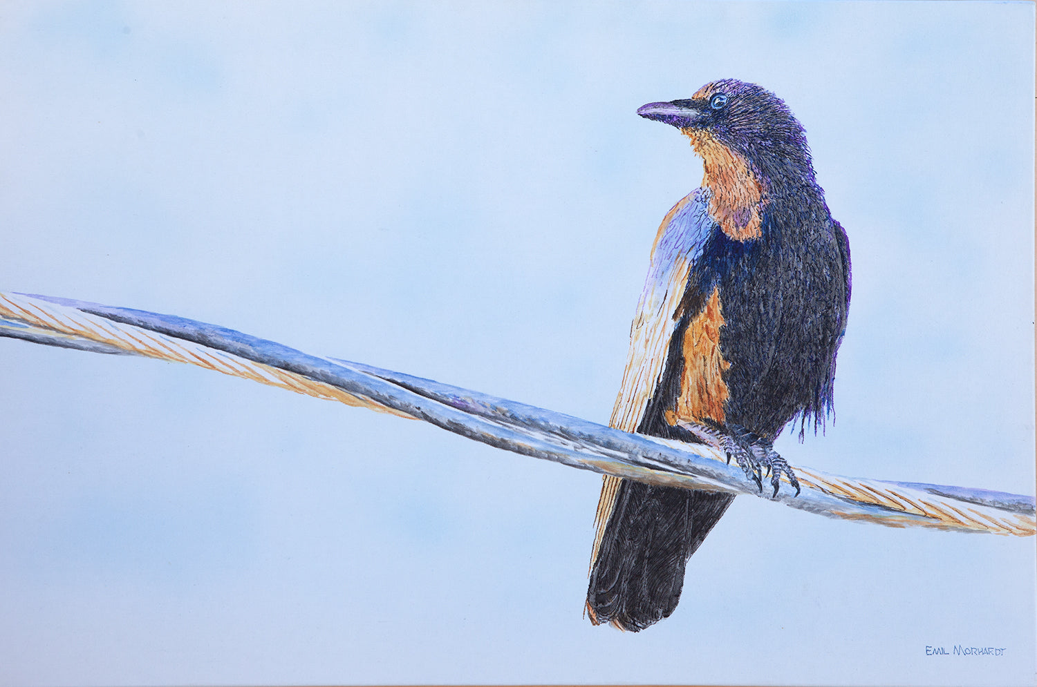 Crow on a Wire by Emil Morhardt - acrylic painting | UGallery