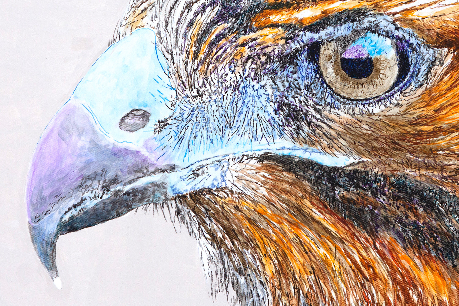 Galapagos Hawk by Emil Morhardt - acrylic painting | UGallery