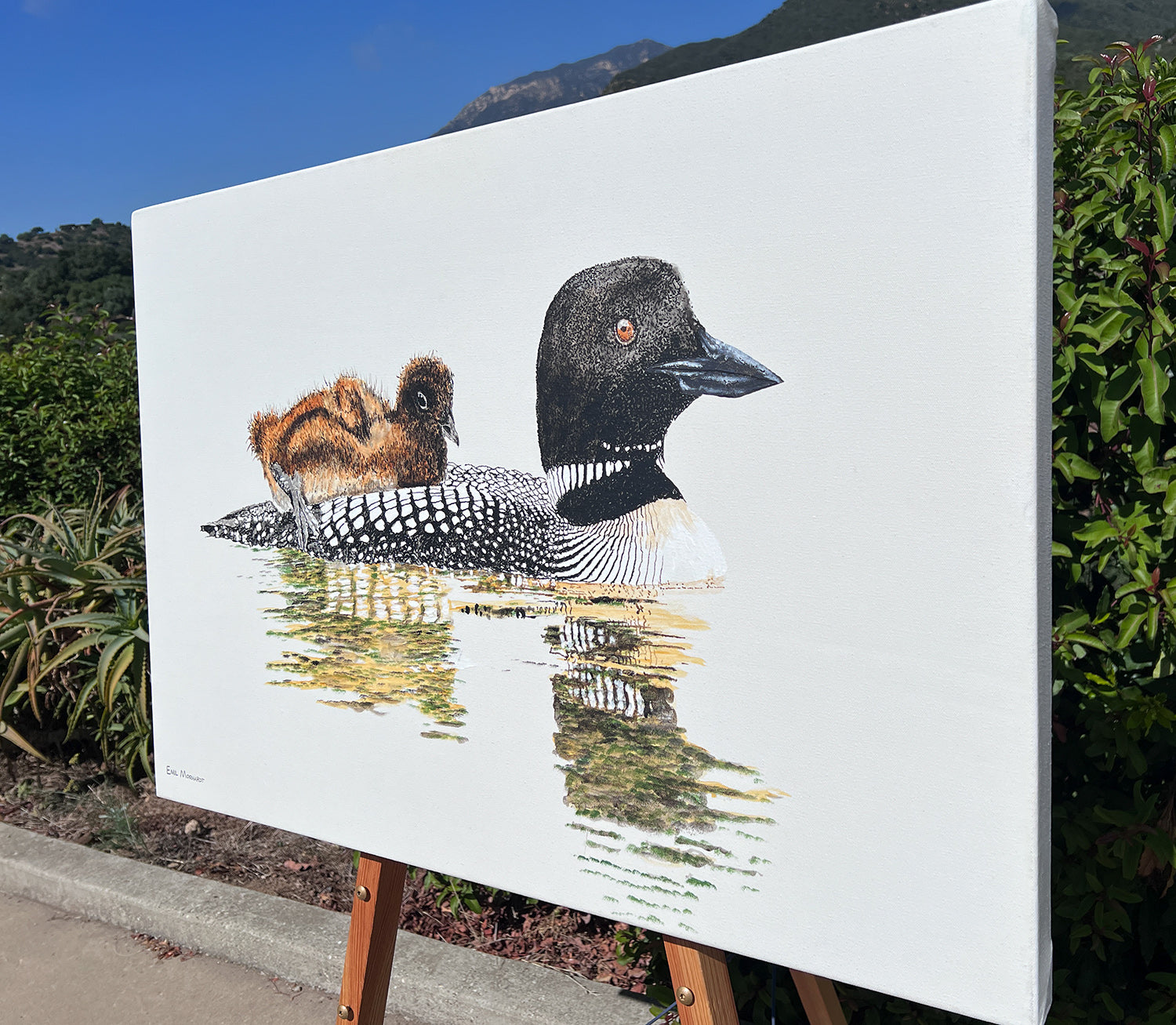 Loon with Chick by Emil Morhardt - acrylic painting | UGallery