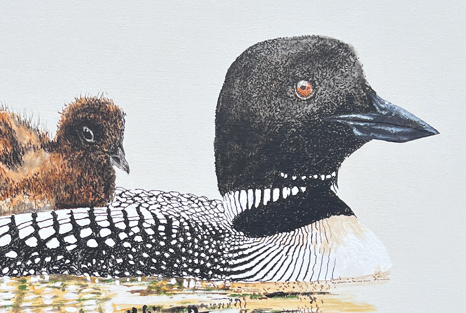 Loon with Chick by Emil Morhardt - acrylic painting | UGallery