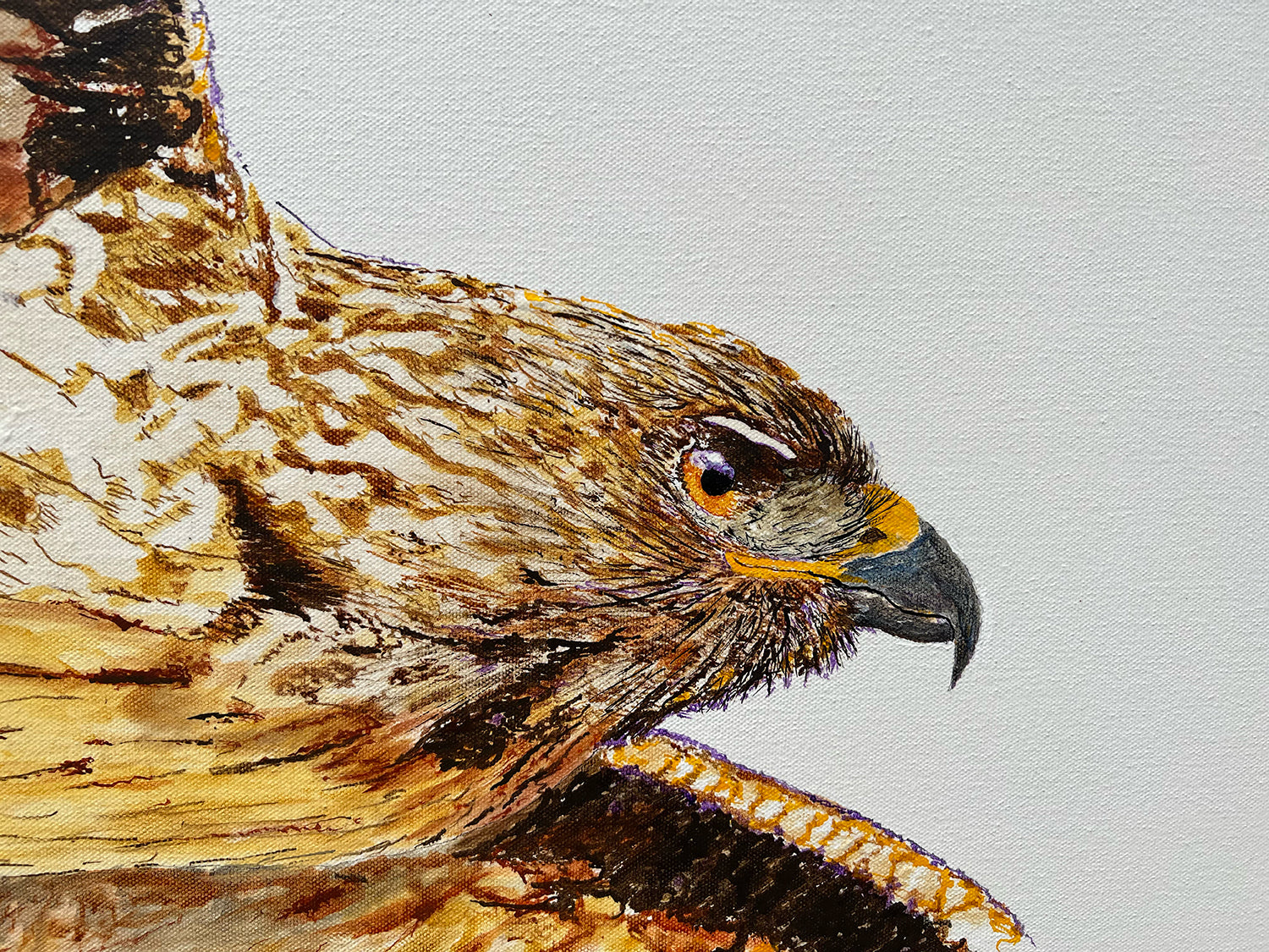 Red-Tailed Hawk on the Hunt by Emil Morhardt - acrylic painting | UGallery