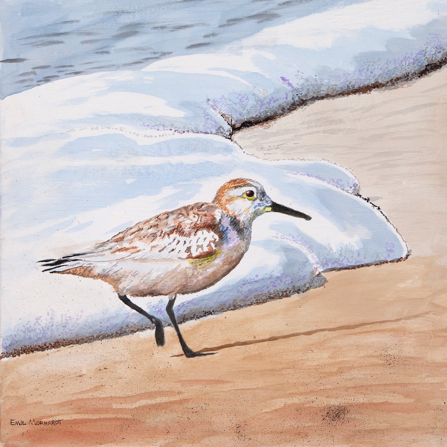 Sanderling #22 by Emil Morhardt - acrylic painting | UGallery