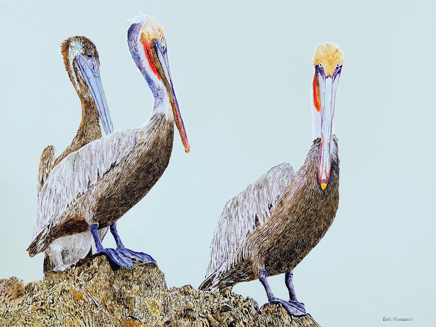 Three Pelicans by Emil Morhardt - acrylic painting | UGallery