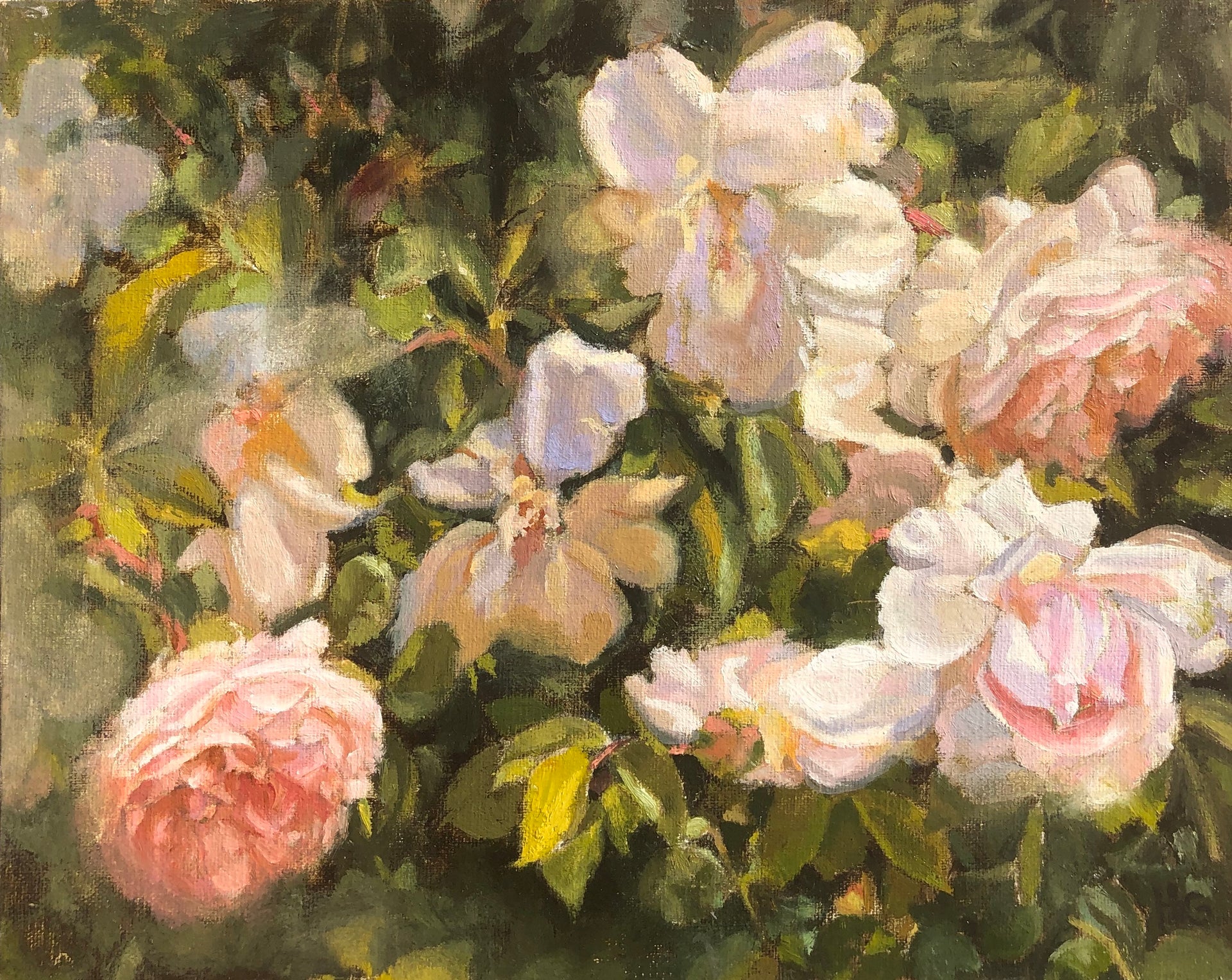 Rose Petals and Leaves in Morning Light by Hilary Gomes - oil painting ...