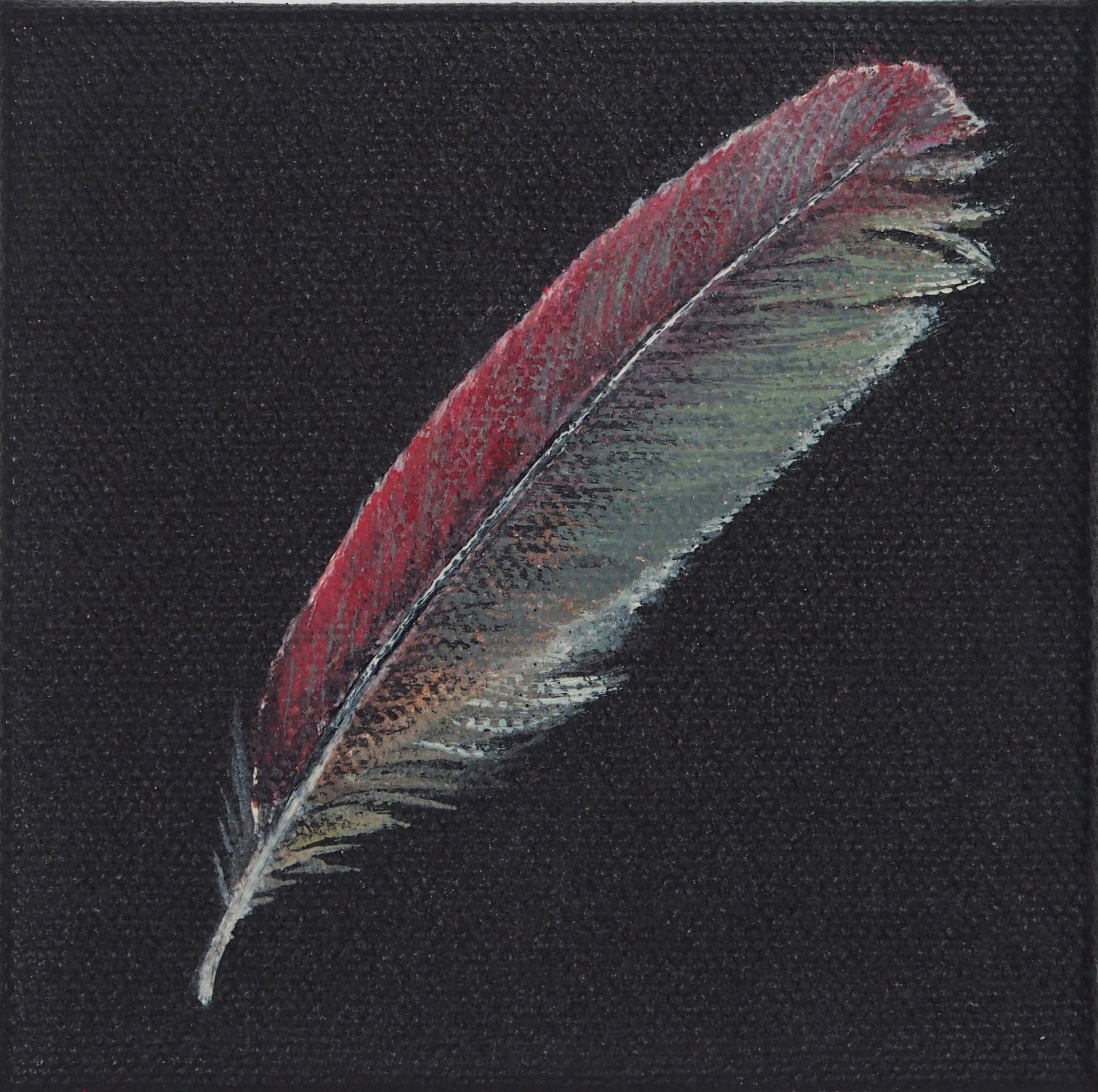 Cardinal Feather by Jennifer Ross - acrylic painting | UGallery