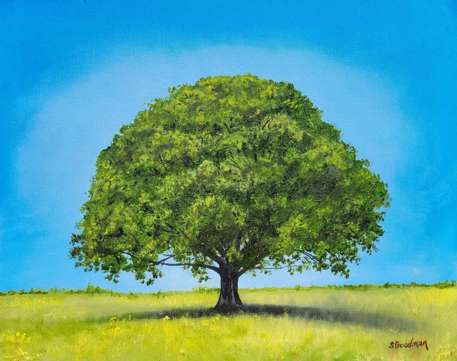 The Mighty Oak by Shela Goodman - oil painting | UGallery