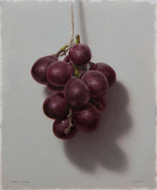Grapes by Daniel Caro - oil painting | UGallery
